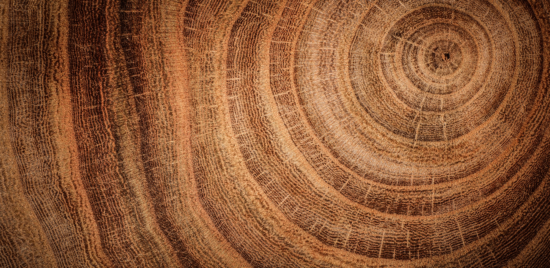 Imprägniermittel auf Wasserbasis für Holz Arborea Pastel – ICA Group